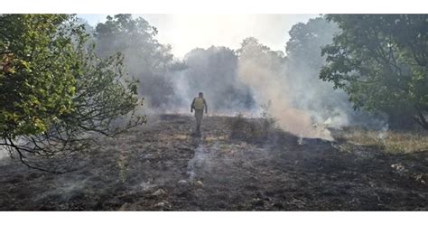 МО Военните учения не са причина за пожара в учебния център „Сливница“