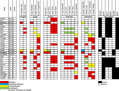 Association Between Host And Type Iii Effector Profile Of Pseudomonas Download Scientific