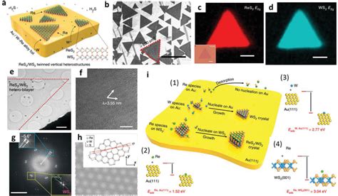 A Schematic View Of The Synthesis Process B An SEM Image Of The Download Scientific Diagram