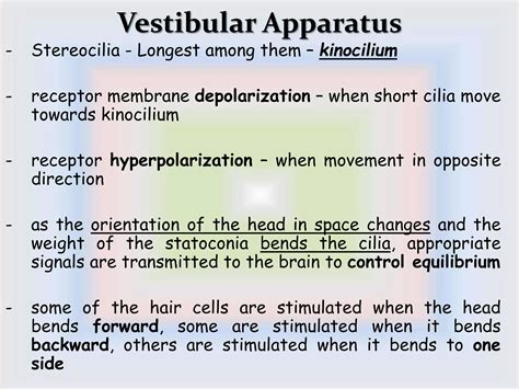 Physiology Of Equilibrium Pptx