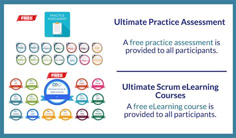 Professional Scrum Master