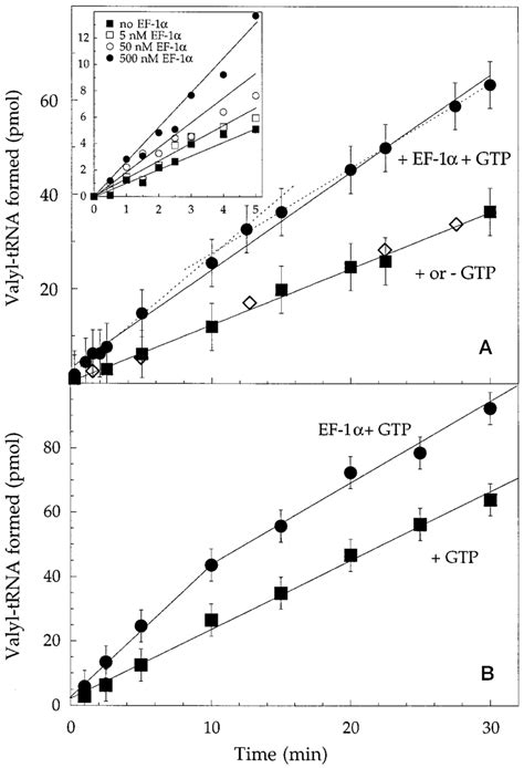 Stimulation Of 14 C Valyltrna Formation By Valyl Trna Synthetase In Download Scientific