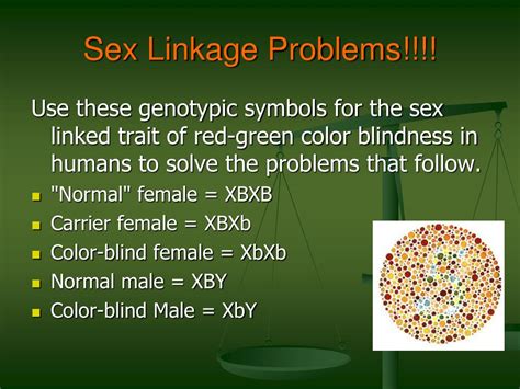 PPT Inheritance Patterns Human Genetics PowerPoint Presentation ID