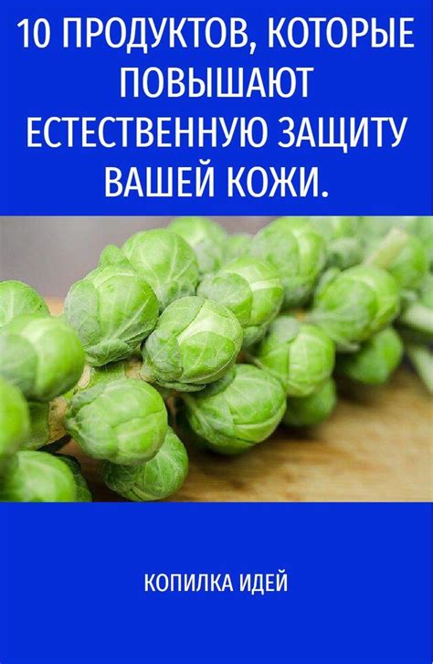1000 Life Hacks, Brussel Sprout, Sprouts, Vegetables, Health, Food ...
