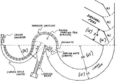 Figure 1 From Cattle Behavior And Cattle Handling Semantic Scholar