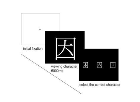 experiment flow diagram download scientific diagram