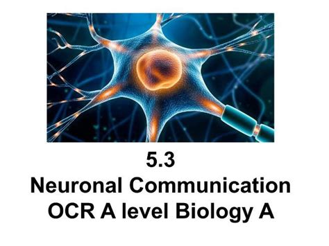 Ocr A Level Biology 53 Neuronal Communication Whole Chapter