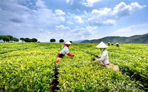 The Rise Of Agritech Ecosystem In 2023 Nasscom The Official Community Of Indian It Industry