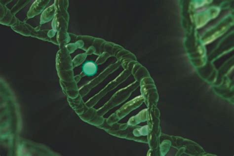 Can You Outsmart The Baldness Gene What Science Lifestyle Say