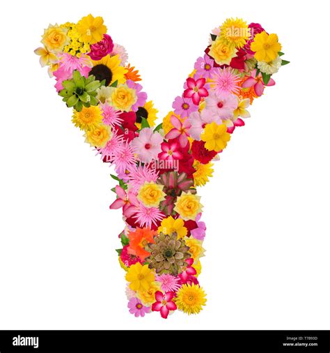 Letter Y Design