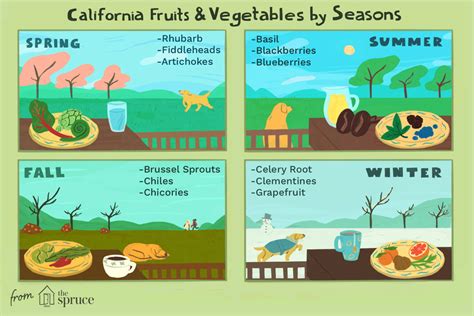 Northern California Seasonal Produce Chart