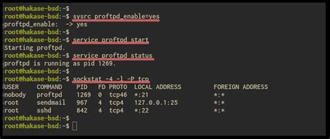 How To Install Proftpd Ftp Server On Freebsd