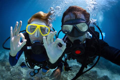 The Ultimate Guide To Finding The Best Scuba Diving School In Florida