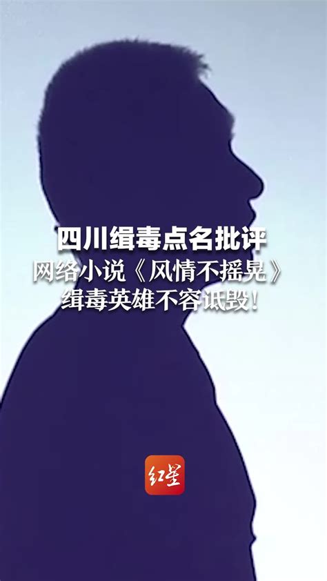 用生命守护我们的缉毒英雄不容诋毁！四川缉毒点名批评的网络小说《风情不摇晃》多平台已下架凤凰网视频凤凰网