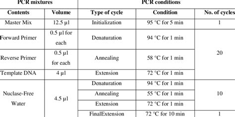Quadruplex Pcr Mixtures And Conditions For Identification Of Download Scientific Diagram