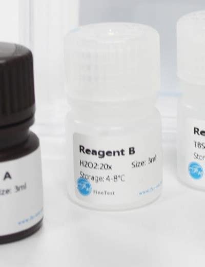 Finetest® Rabbit Dab Poly Hrp Detection Ihc Kit Pt Kairos Jaya Sejahtera