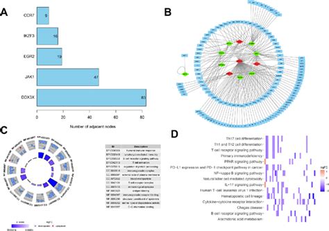 Transcription Factor Regulatory Networks And Functional Enrichment Download Scientific Diagram