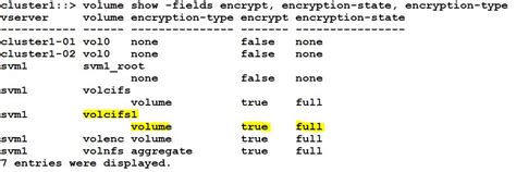 remote infrastructure management netapp storage encryption nse nae