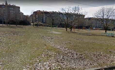 Община Русе с инициатива за повече дървета в града Tvn Bg