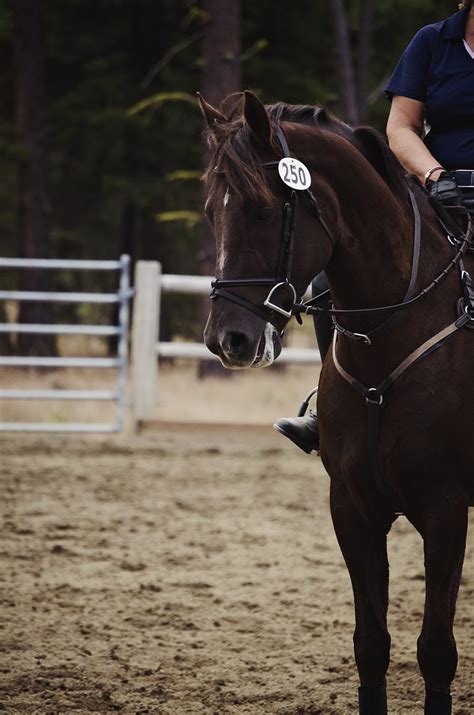 Dsc 0144 Emily Eckhardt Photography Flickr