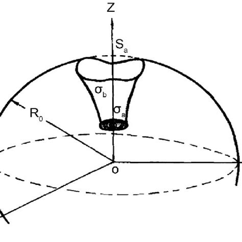 53 Diagrammatic View Of Some Common Microscopic Invertebrates A