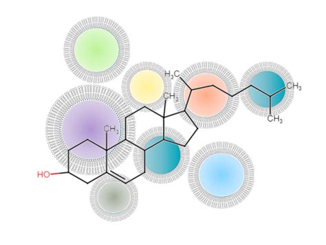Lipidomics Analysis The Metabolomics Innovation Centre
