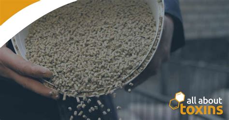 How Mycotoxins And Endotoxins Unleash Oxidative Stress All About Toxins Nuscience