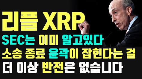 리플 Xrp 더 이상 반전은 없습니다 Youtube