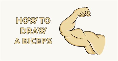 Bicep Drawing