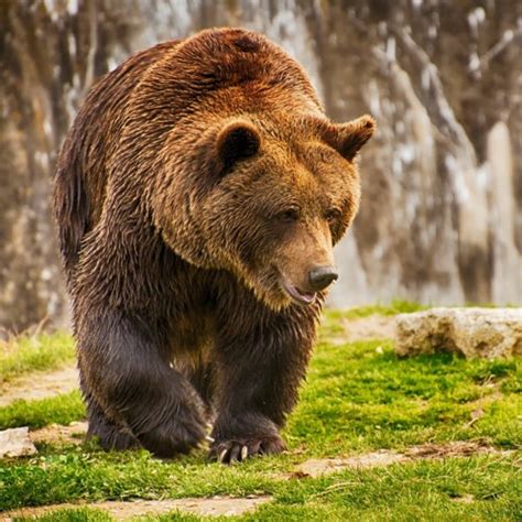 Stream Perceptual Interpolation By Csepregi Mátyás Listen Online For Free On Soundcloud