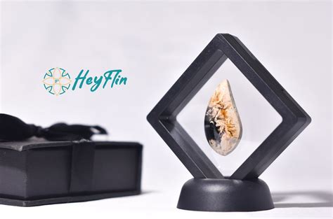 Fossil Palm Root Etsy