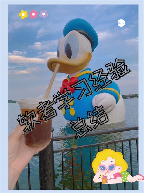 软考学习经验总结 知乎