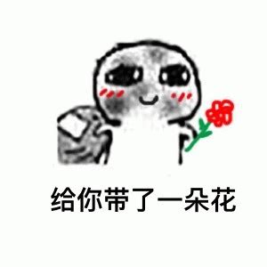 给你带了一朵花表情包图片gif动图 求表情网 斗图从此不求人