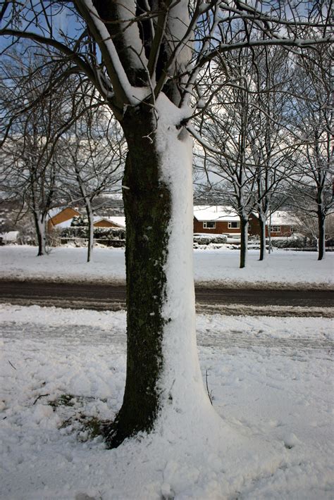 Snow Xnxx Adult Forum