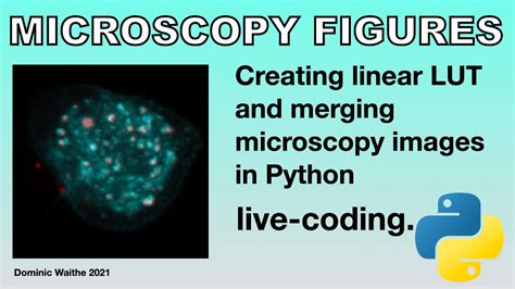 Microscopy Figures Live Coding Python Bioimage Analysis Youtube
