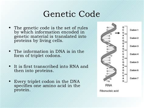 genetic code