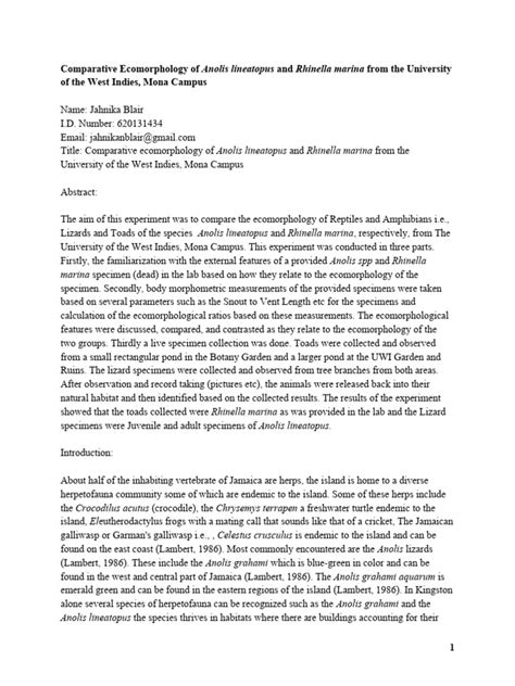 Practical 3 Lab Report Template Pdf