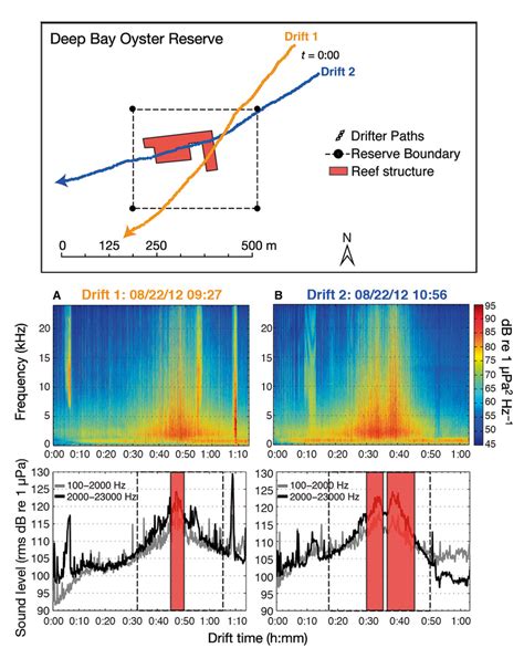 Comparison Of 2 Drifting Hydrophone Deployments At Deep Bay Reserve Download Scientific