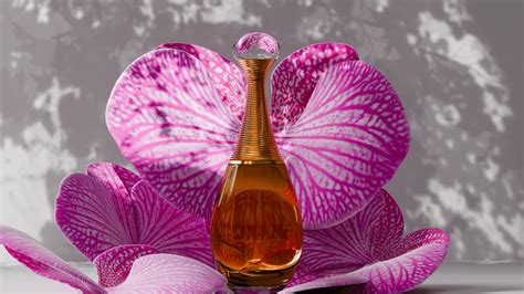 3d Modeling Visualization Render 14 Images Behance