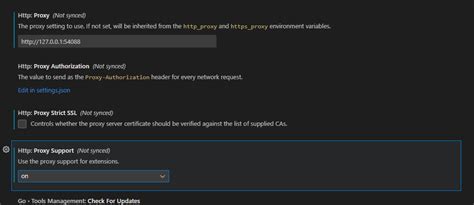 vscode always asks for api key · issue 324 · wakatime vscode wakatime