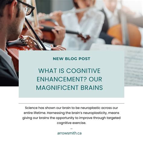 What Is Cognitive Enhancement Our Arrowsmith Program