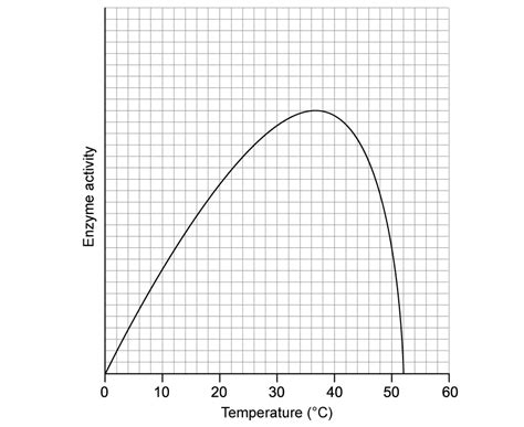 Enzymes Cie Igcse Biology Topic Questions 2023