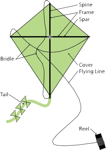 favorite info about how to draw a kite diagram significancewall