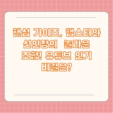 핸섬 가이즈 햄스터와 선인장의 놀라운 조합 유튜브 인기 비결은