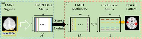Illustration Of Sparse Representation Of Fmri Signals Using An Download Scientific Diagram