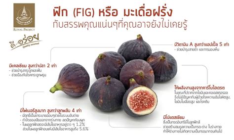 มะเดื่อฝรั่ง สรรพคุณแน่นๆ โครงการหลวง ดี อร่อย