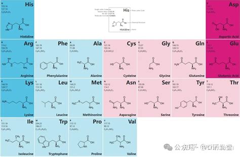 20种常见氨基酸的结构、极性、电荷、等电点、解离常数，标准品图谱、线性曲线 知乎
