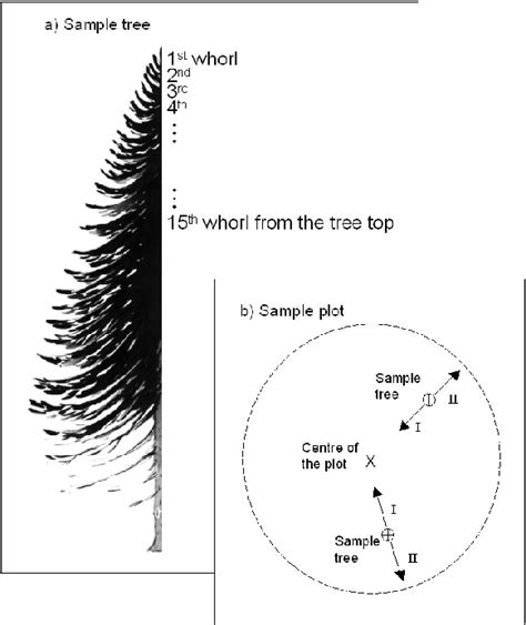 Figure 2 From Forest Inventory Based Large Scale Forest Biomass And Carbon Budget Assessment