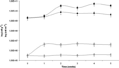 Bacterial Abundance Determined By Dapi Staining Concentration Of The Download Scientific