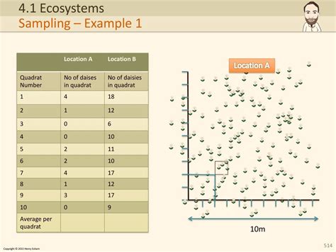 Diagram Of 41 Ecosystems Daisy Field Sampling Practical Quizlet